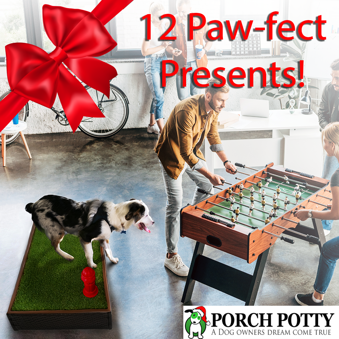 12 PAW-FECT PRESENTS FOR YOUR DOG – Porch Potty USA