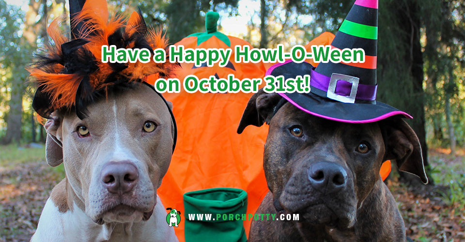 Happy Howl-O-Ween: Top 4 Easy and Spooky Activities for Dogs! – Porch ...