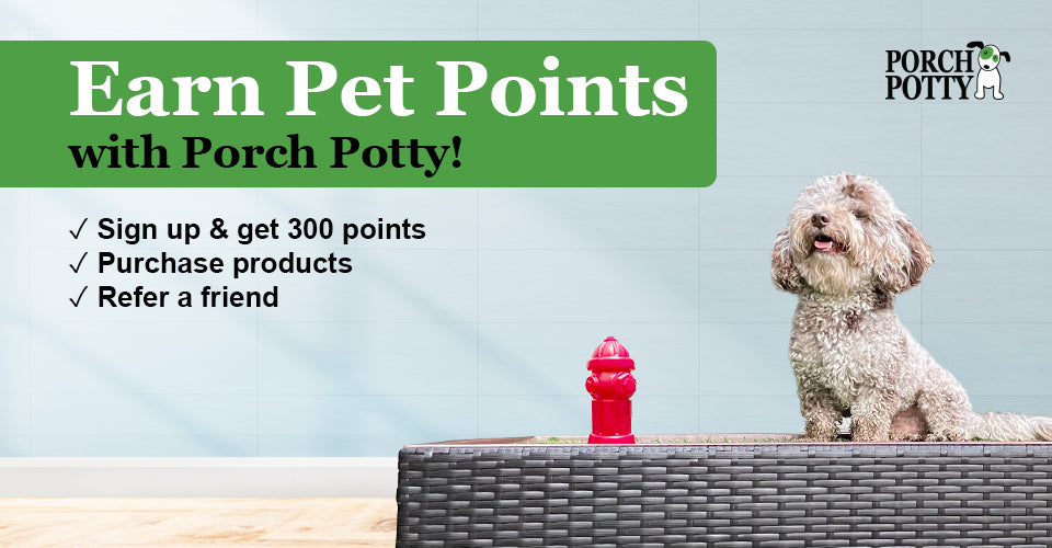Our Pet Points Leveled Up 𑁋 Here’s the Full Rundown – Porch Potty USA